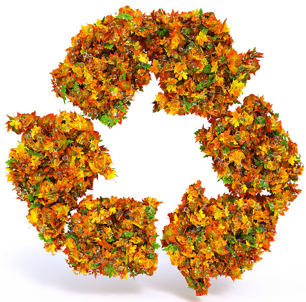 Tips for Removing Leaves - Complete Landscaping