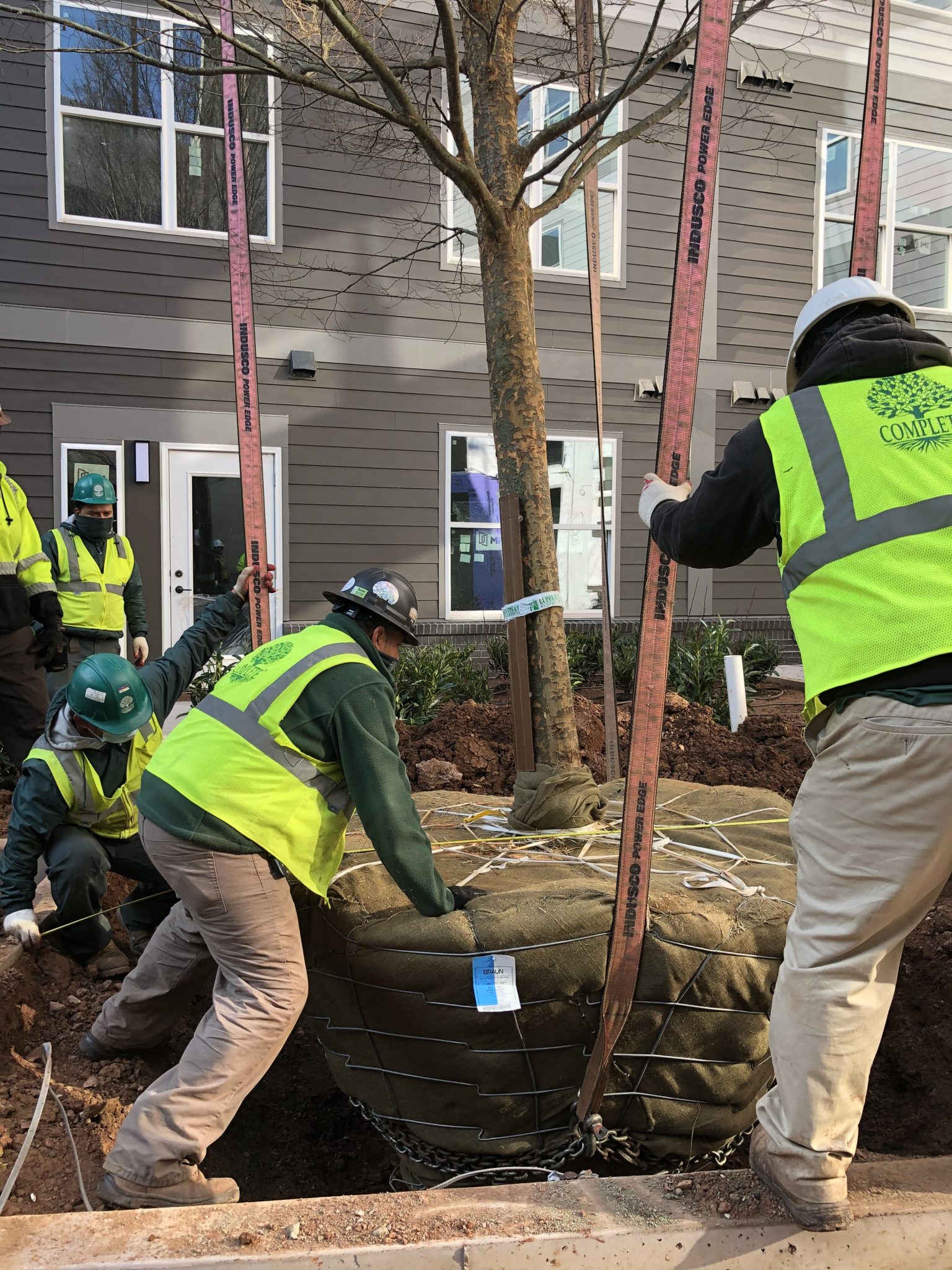 Commercial Landscape Construction & Services for Maryland, VA & DC