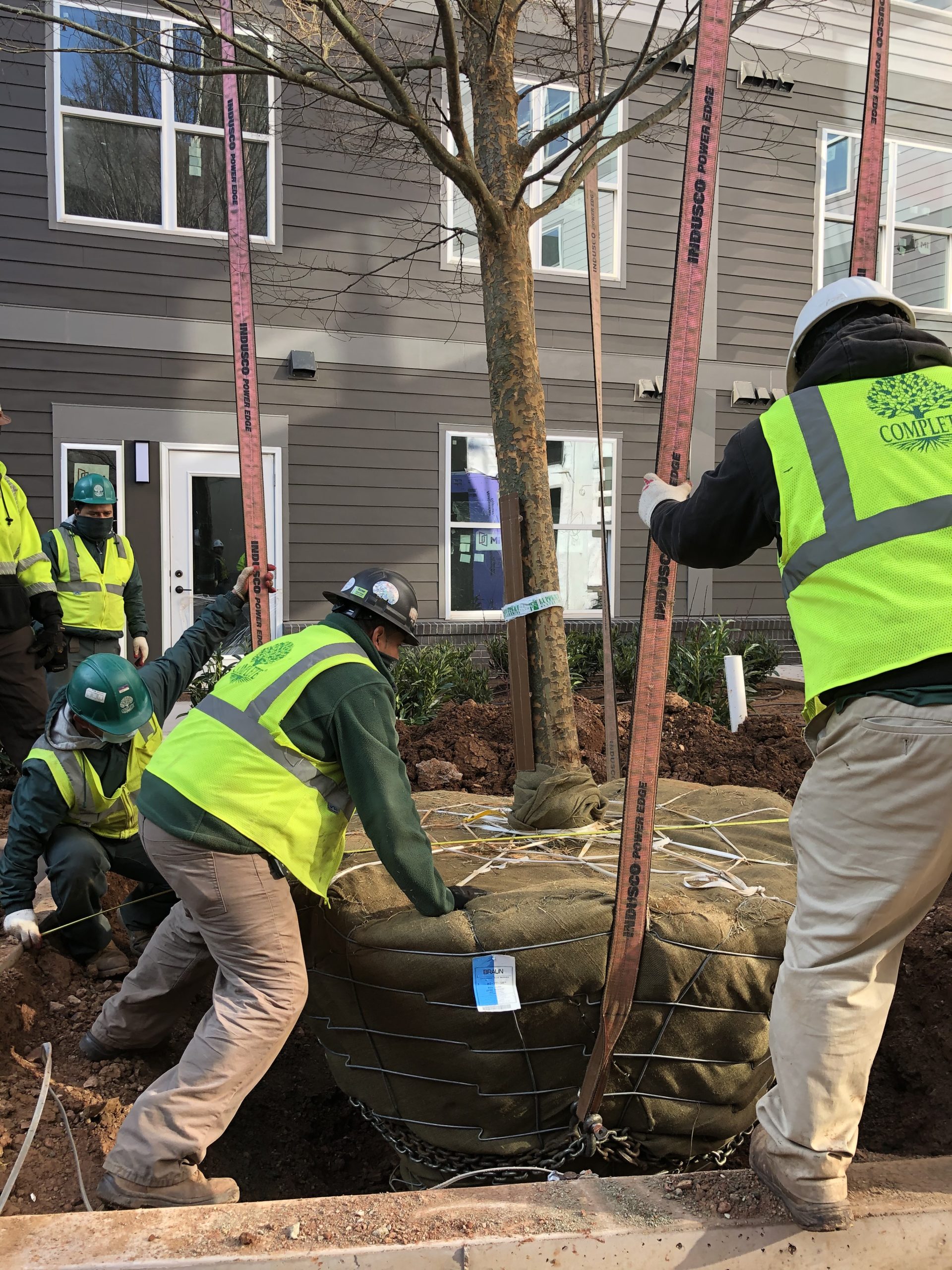 Commercial Landscape Construction & Services for Maryland, VA & DC