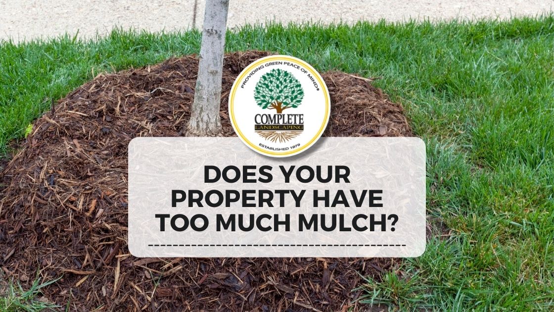 Is Too Much Mulch a Thing? | Complete Landscaping Service MD, DC, VA