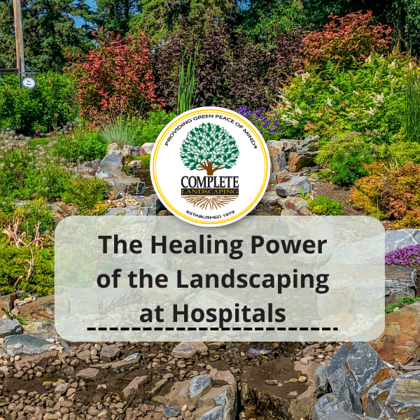 The Healing Power of the Landscaping at Hospitals | Complete Landscaping