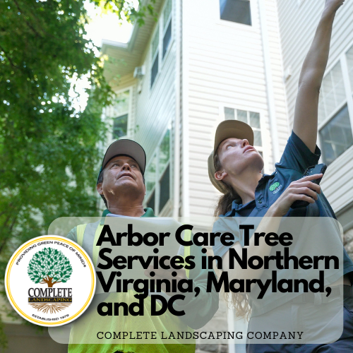 Arbor Care Tree Services in Northern Virginia, Maryland, and DC