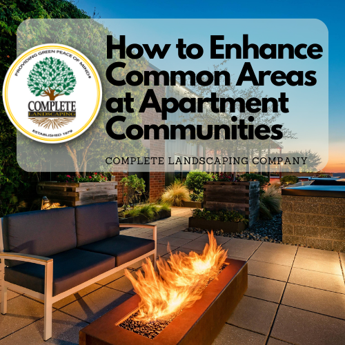 How to Enhance Common Areas at Apartment Communities