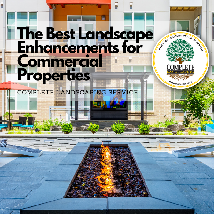 Landscaping Ideas For Commercial Buildings Commercial Landscape Design