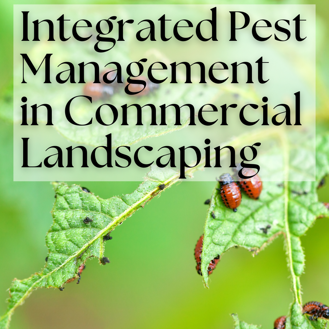 Integrated Pest Management in Commercial Landscaping - Complete ...
