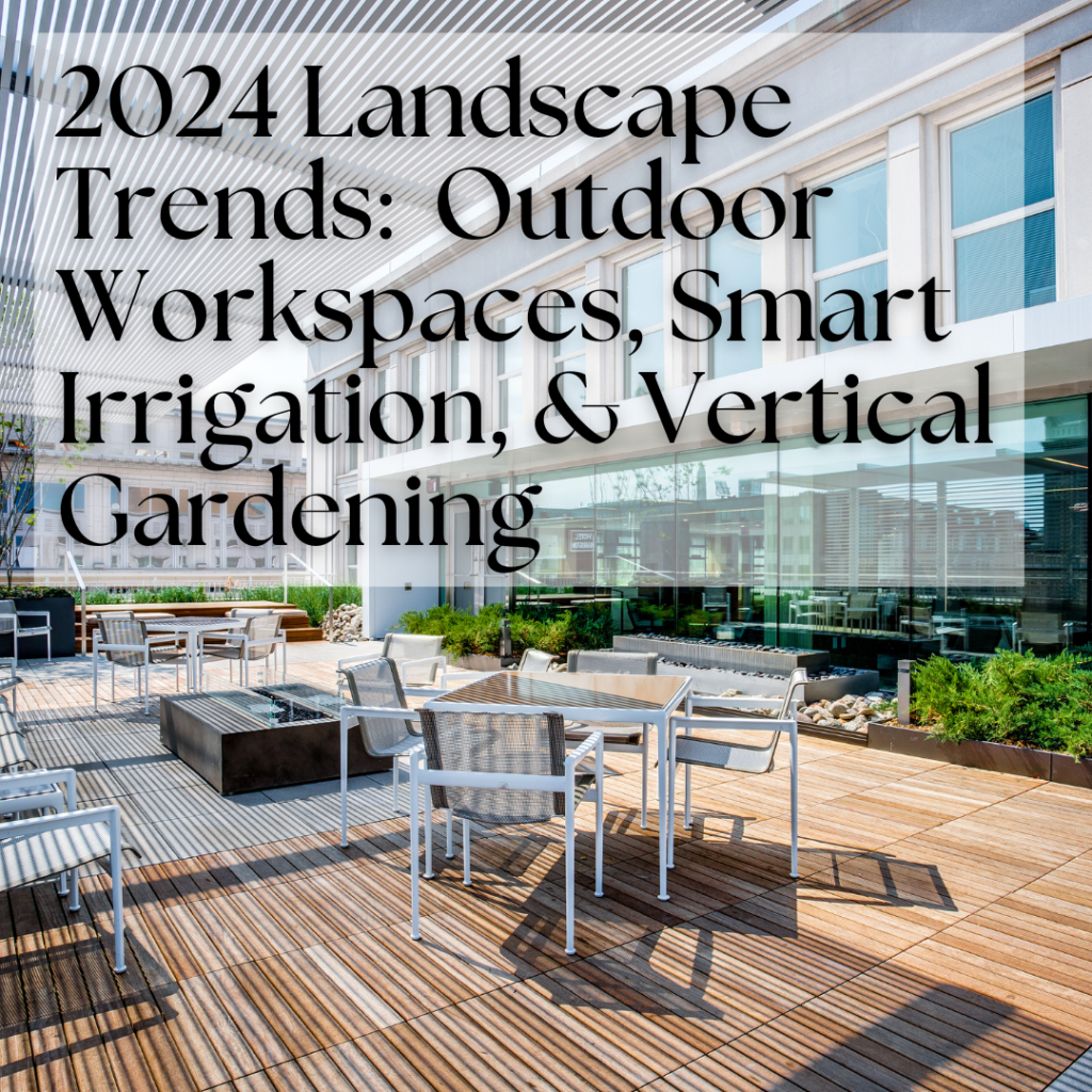 2024 Landscape Trends to Watch - Complete Landscaping Service