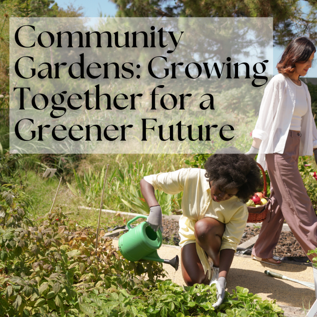 Community Gardens: Growing Together for a Greener Future - Complete ...