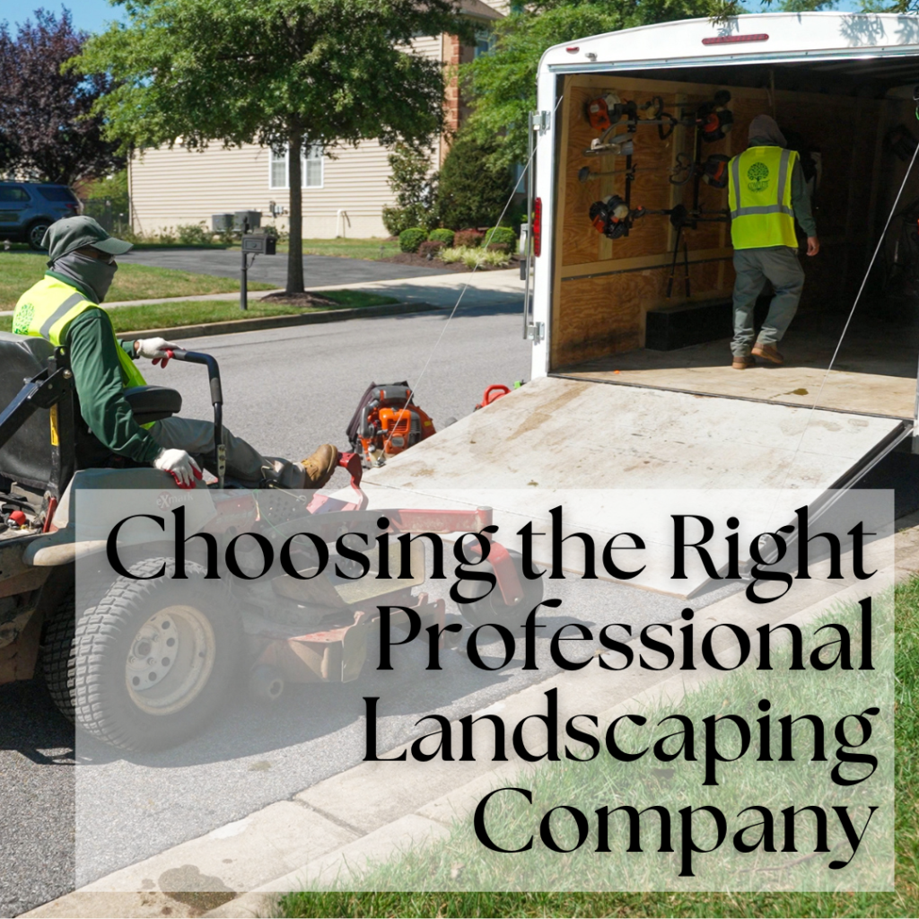 Choosing the Right Professional Landscaping Company - Complete ...